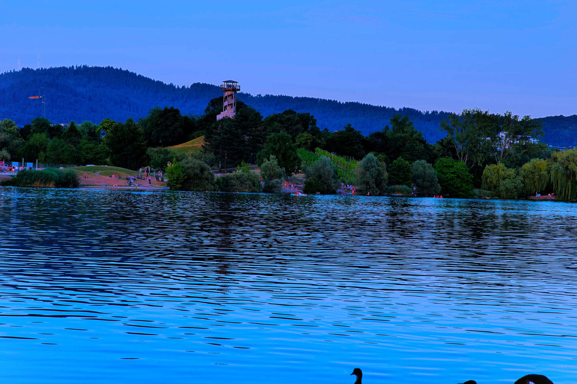 Mohammad Hashas aus Freiburg